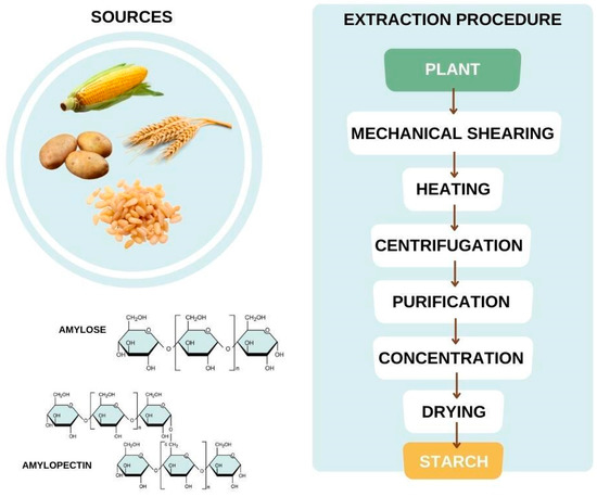 Bioengineering | An Open Access Journal from MDPI