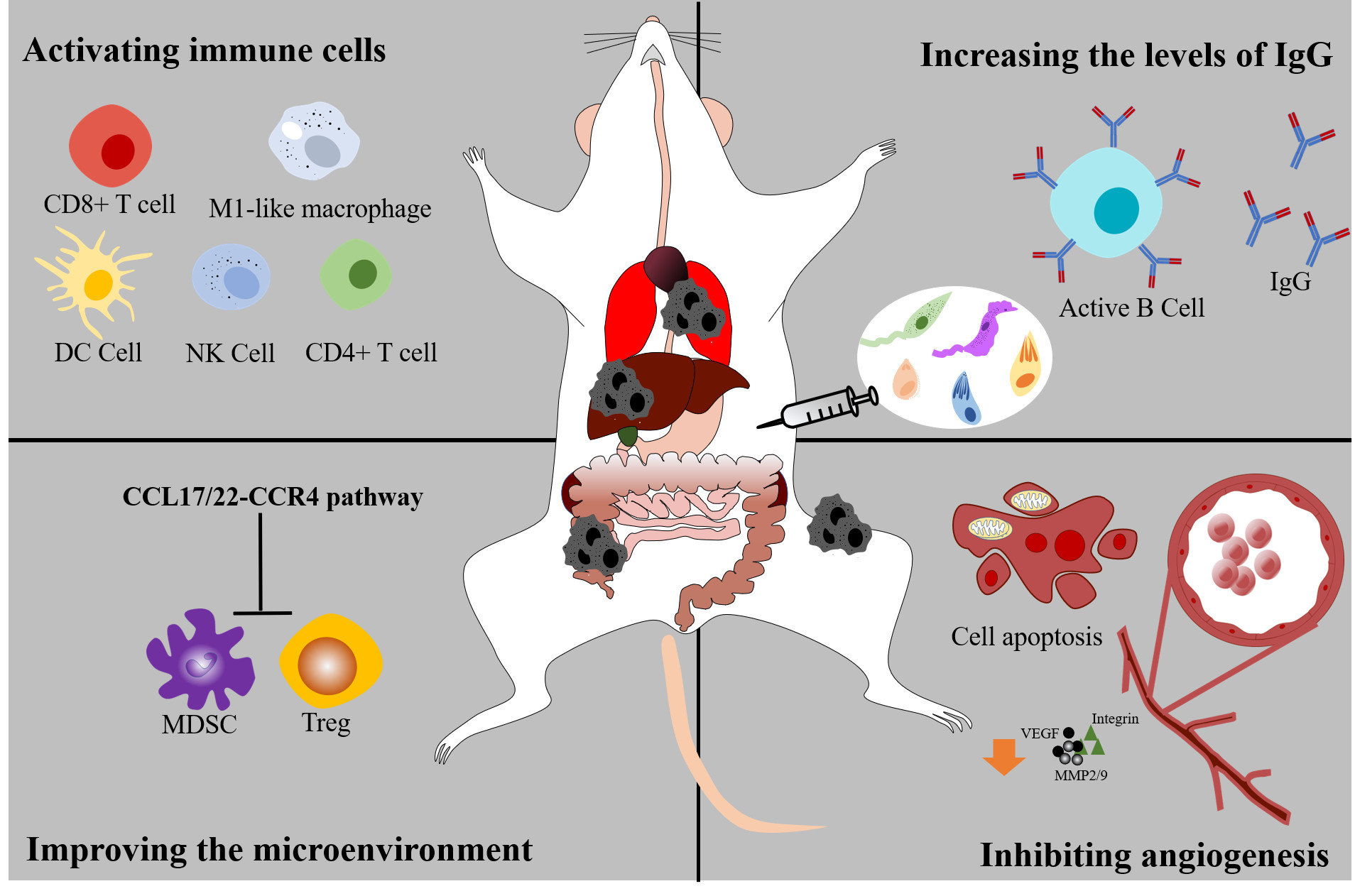 Bioengineering | Free Full-Text | Anti-Tumor Effect of Parasitic Protozoans
