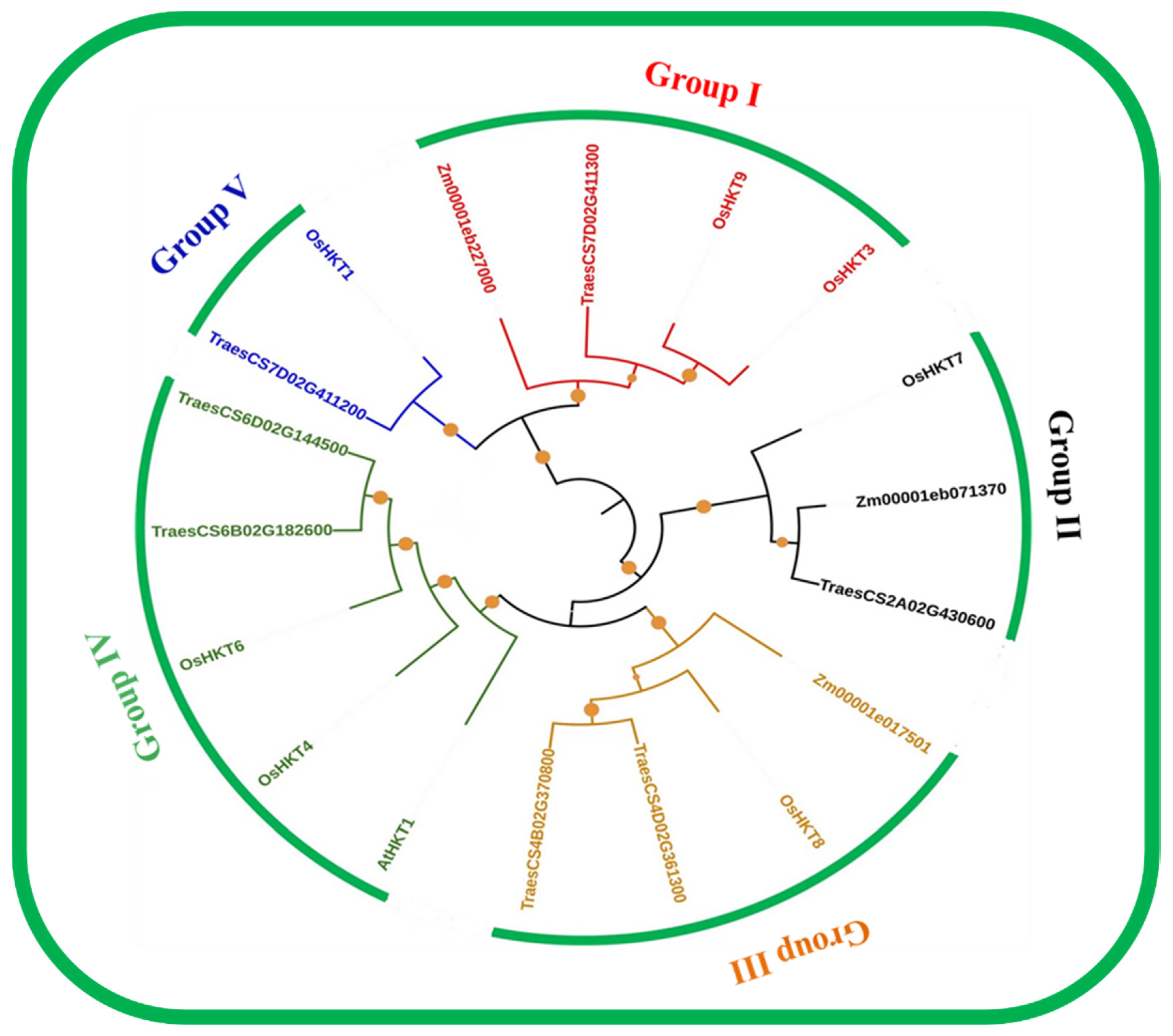 Transcriptome-Wide Analysis Revealed the Potential of the High-Affinity ...