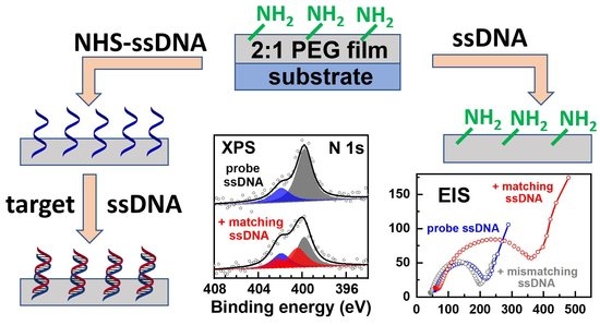 Bioengineering Free Full Text Rational Design Of Porous Poly