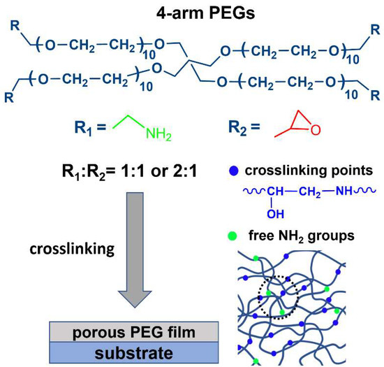 Rational Design of Porous Poly(ethylene glycol) Films as a Matrix for ...