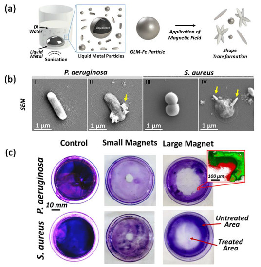 Gallium-Based Liquid Metal Materials for Antimicrobial Applications