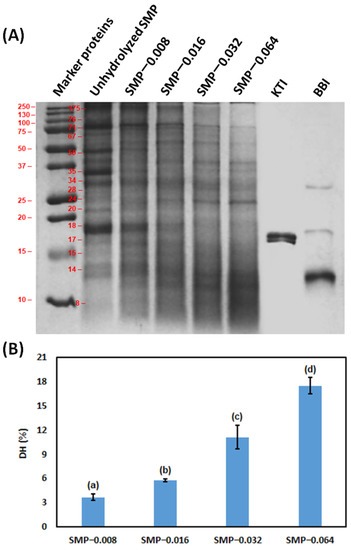 Hydrolysis of Soybean Milk Protein by Papain: Antioxidant, Anti ...
