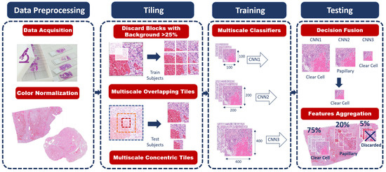 Development and Evaluation of a Novel Deep-Learning-Based Framework for the Classification of ...