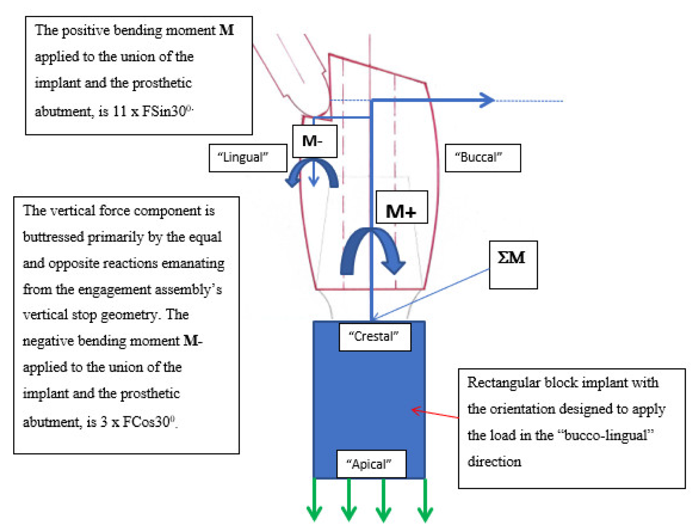 The Biomechanical Profile of an Osseo-Integrated Rectangular Block ...