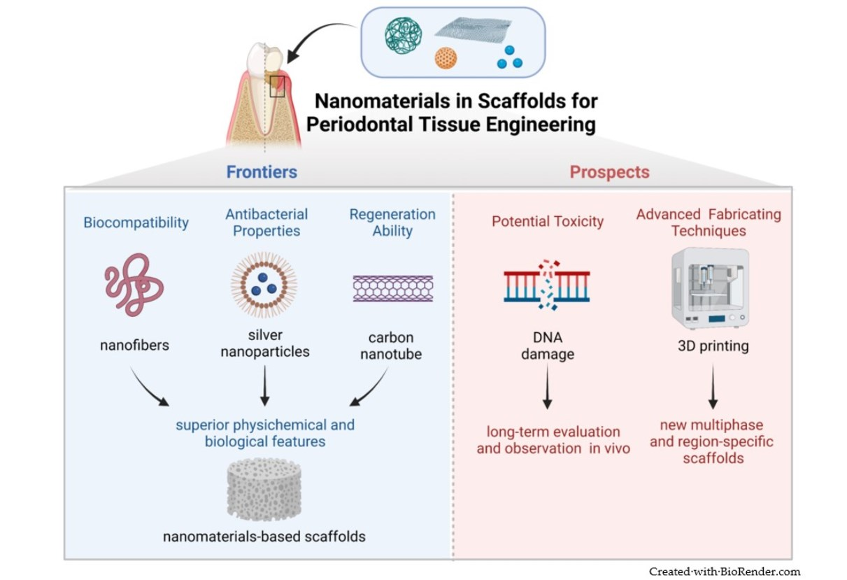 Bioengineering | Free Full-Text | Nanomaterials in Scaffolds for ...