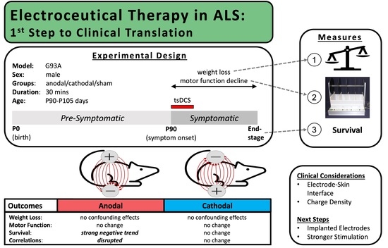 Bioengineering | Free Full-Text | Non-Invasive Transcutaneous Spinal DC ...
