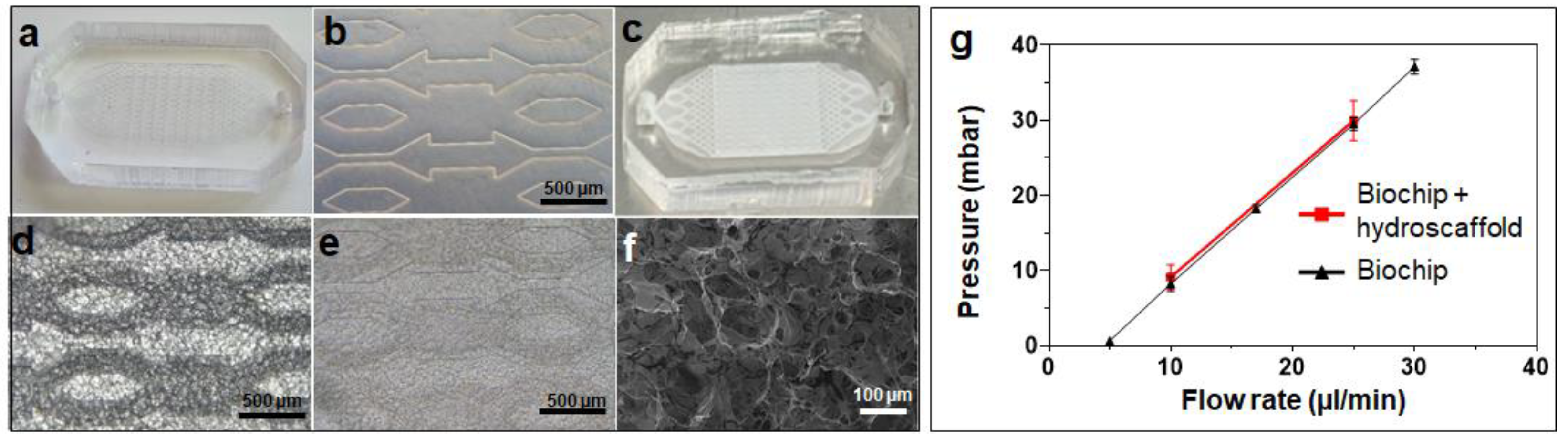 Development of Liver-on-Chip Integrating a Hydroscaffold Mimicking the ...