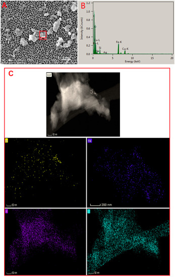 Green Synthesis and Antibacterial Activity of Ag/Fe2O3 Nanocomposite Using Buddleja lindleyana ...
