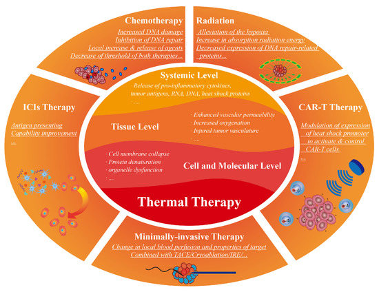 Synergetic Thermal Therapy for Cancer: State-of-the-Art and the Future