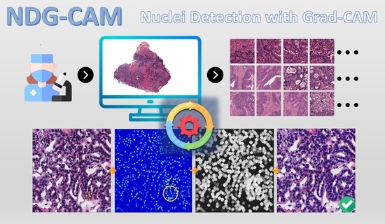 Bioengineering | Special Issue : Artificial Intelligence in Medical ...