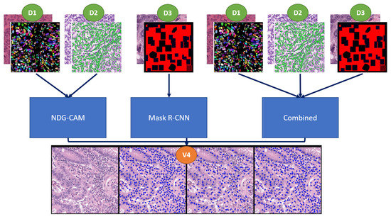 Bioengineering | Special Issue : Artificial Intelligence in Medical ...