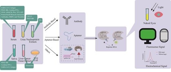 Bioengineering | Free Full-Text | Recent Advances in CRISPR/Cas-Based ...