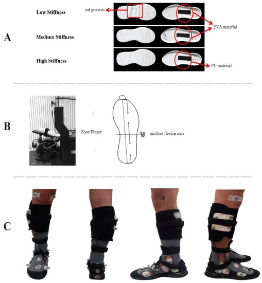 Effects of Shoe Midfoot Bending Stiffness on Multi-Segment Foot ...