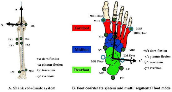 Effects of Shoe Midfoot Bending Stiffness on Multi-Segment Foot ...