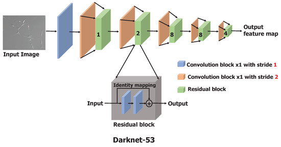 Deep Learning for Live Cell Shape Detection and Automated AFM Navigation