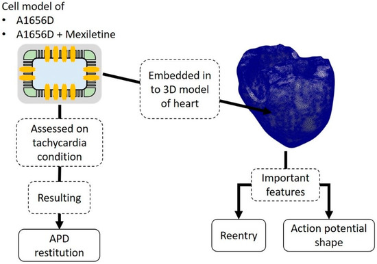 Verification of the Efficacy of Mexiletine Treatment for the A1656D ...