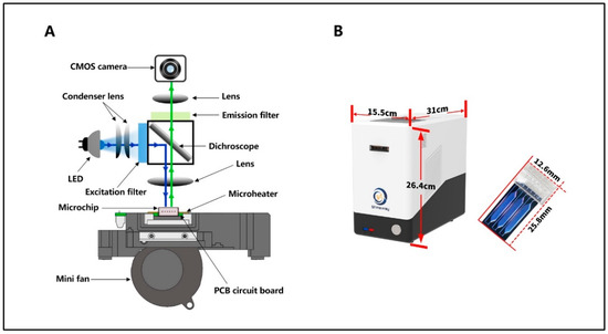 Ultrafast PCR Detection of COVID-19 by Using a Microfluidic Chip-Based ...