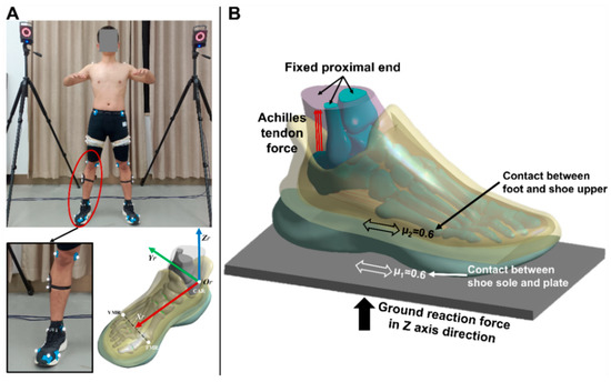 Bioengineering | Free Full-Text | Development and Validation of a ...