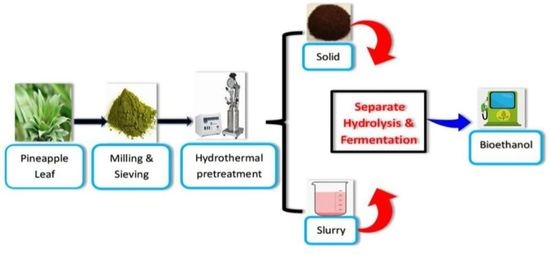Bioengineering | Free Full-Text | Valorization of Pineapple Leaves ...
