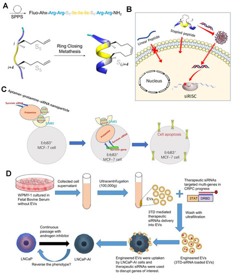 Broadening the Horizons of RNA Delivery Strategies in Cancer Therapy