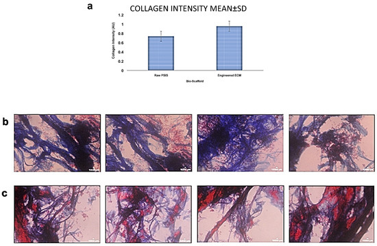 Stem Cell-Secreted Allogeneic Elastin-Rich Matrix with Subsequent ...