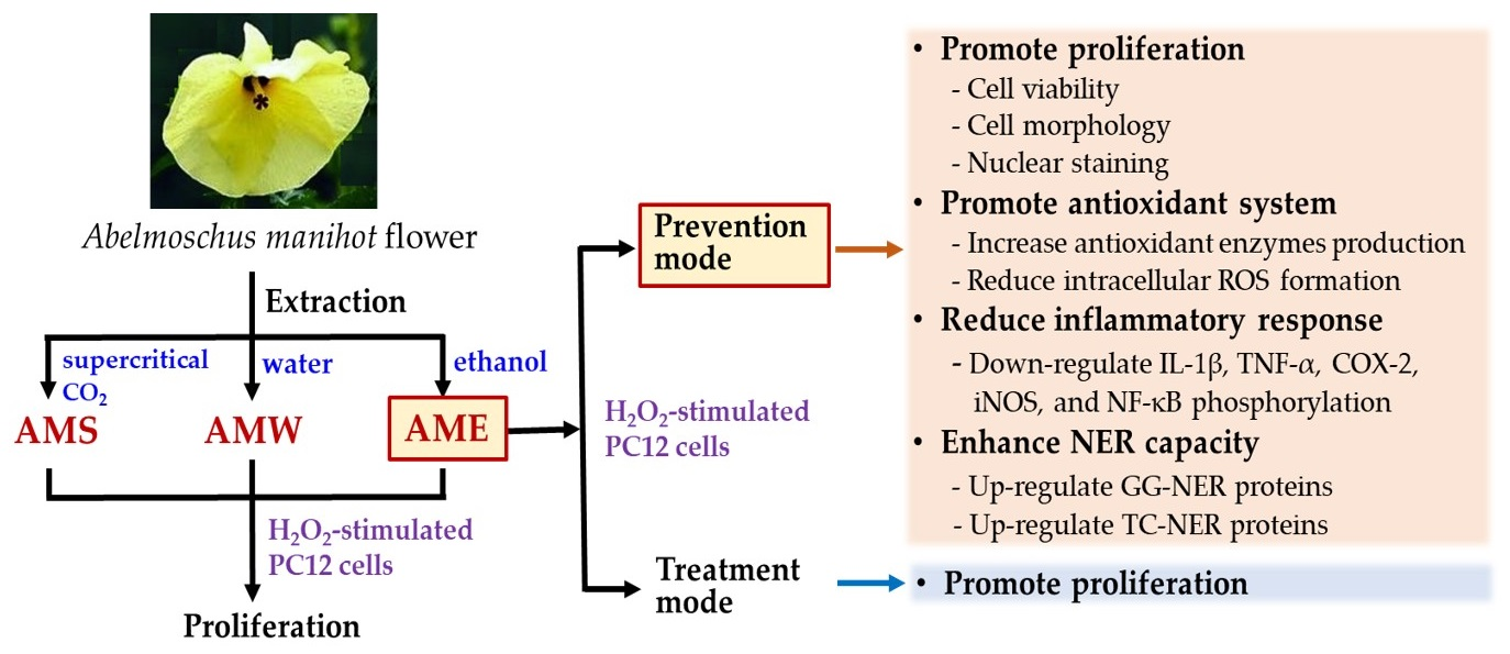 Bioengineering | Free Full-Text | Neuroprotective Effect of Abelmoschus ...