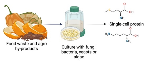 Bioengineering | Free Full-Text | Single-Cell Protein Production as a ...