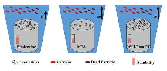 Bioengineering | Free Full-Text | Physicochemical and Antibacterial ...