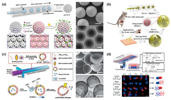 Recent Advances in Drug Delivery System Fabricated by Microfluidics for ...