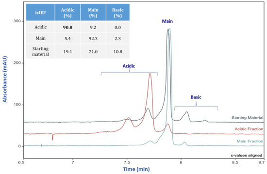 Challenges and Strategies for a Thorough Characterization of Antibody ...