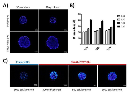 Bioengineering of Hair Follicle-like Structure for Validation of Hair ...