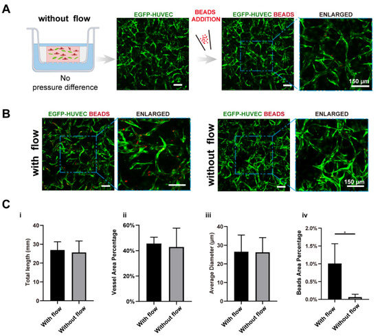 A Transwell-Based Vascularized Model to Investigate the Effect of ...