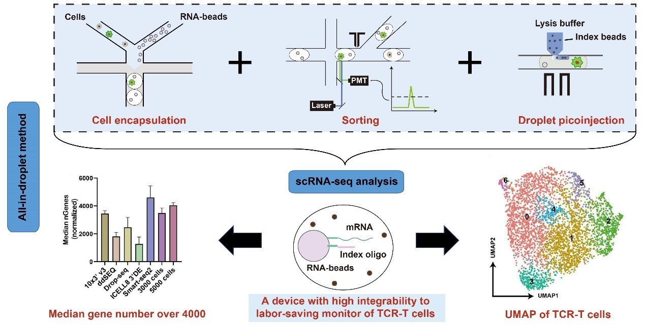 Bioengineering | Free Full-Text | Droplet Microfluidics Enables Tracing ...