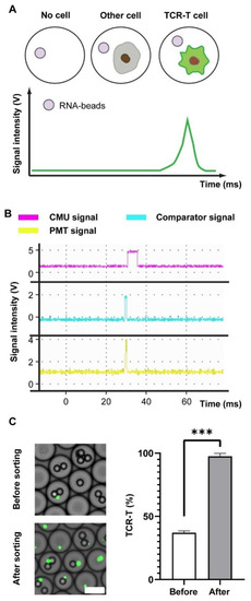 Droplet Microfluidics Enables Tracing of Target Cells at the Single-Cell Transcriptome Resolution