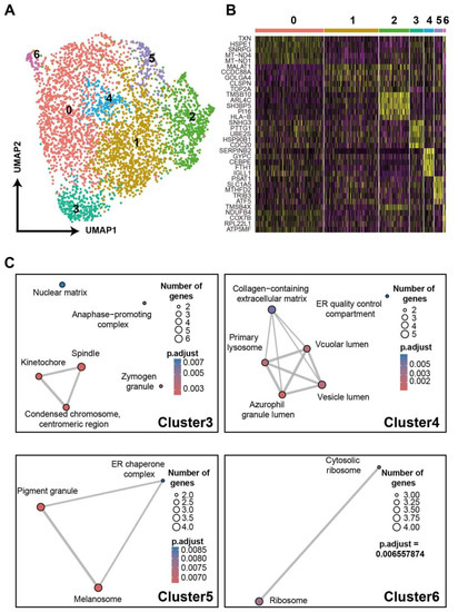 Droplet Microfluidics Enables Tracing of Target Cells at the Single-Cell Transcriptome Resolution