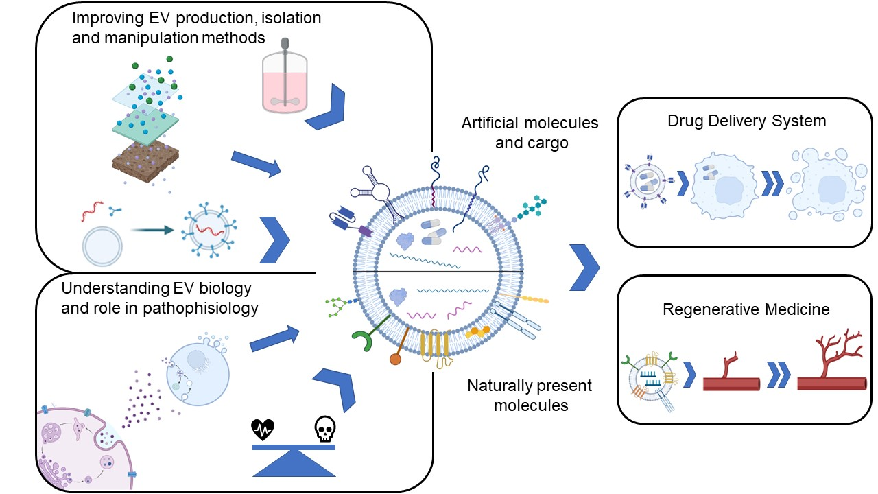 Bioengineering | Free Full-Text | From Promise to Reality: Bioengineering Strategies to Enhance ...