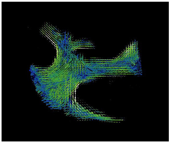Hierarchical Structure and Properties of the Bone at Nano Level