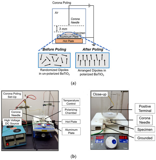 3D-Printed Piezoelectric Porous Bioactive Scaffolds and Clinical ...