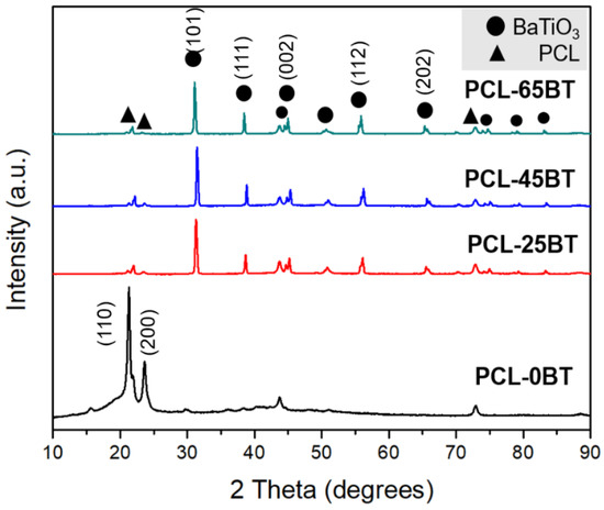 3D-Printed Piezoelectric Porous Bioactive Scaffolds and Clinical ...