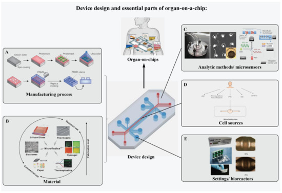 Organ-On-A-Chip Database Revealed—Achieving the Human Avatar in Silicon