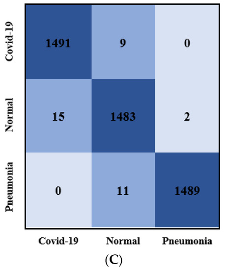 Bioengineering | Free Full-Text | Automated Lung-Related Pneumonia and COVID-19 Detection Based ...