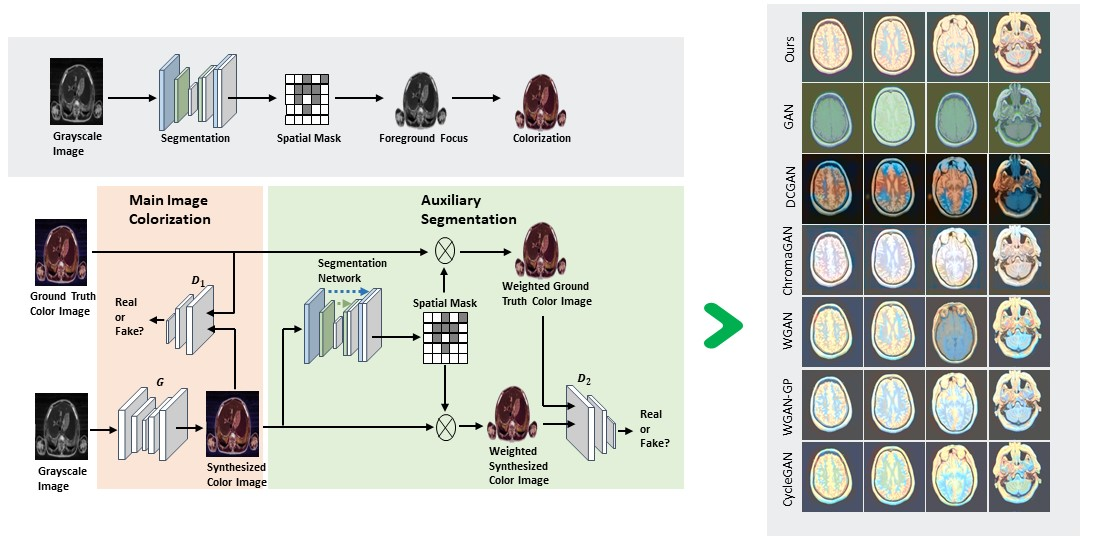 Bioengineering | Free Full-Text | Robust Medical Image Colorization ...