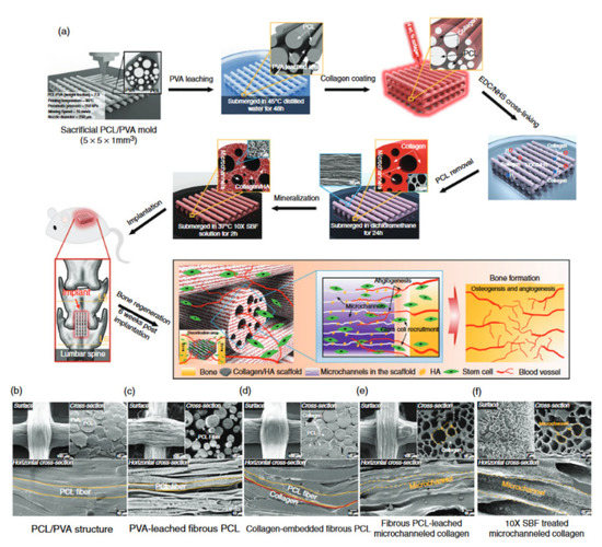 Scaffold Fabrication Techniques of Biomaterials for Bone Tissue ...