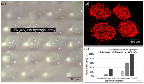 5-Fluorouracil-Immobilized Hyaluronic Acid Hydrogel Arrays on an ...