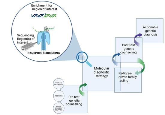 Bioengineering | Free Full-Text | Enhancing Molecular Testing for ...