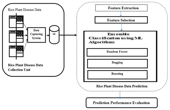 Bioengineering | Free Full-Text | Development of a Rice Plant Disease ...