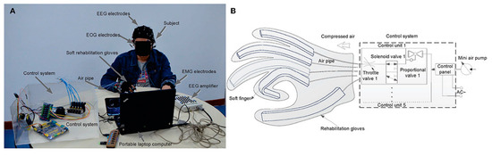 A Review of Brain Activity and EEG-Based Brain–Computer Interfaces for ...