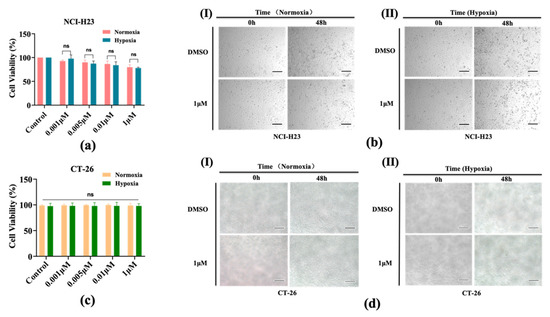 Evaluation of AMG510 Therapy on KRAS-Mutant Non–Small Cell Lung Cancer and Colorectal Cancer ...