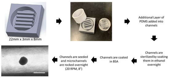 Engineering Human Mesenchymal Bodies in a Novel 3D-Printed Microchannel ...